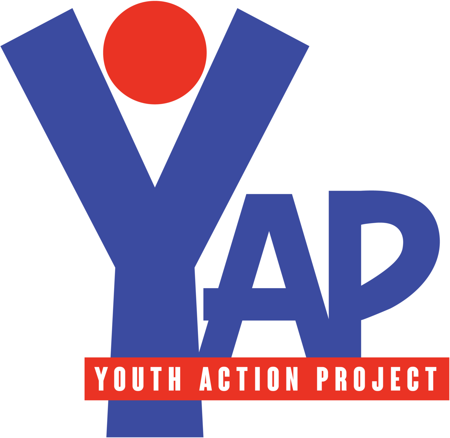 Our Programs – Youth Action Project